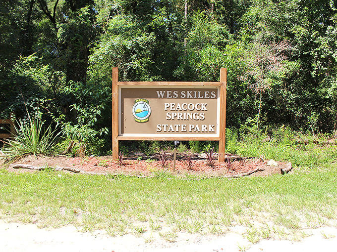 The unassuming entrance sign doesn't prepare you for the underwater wonderland hiding just beyond those trees.