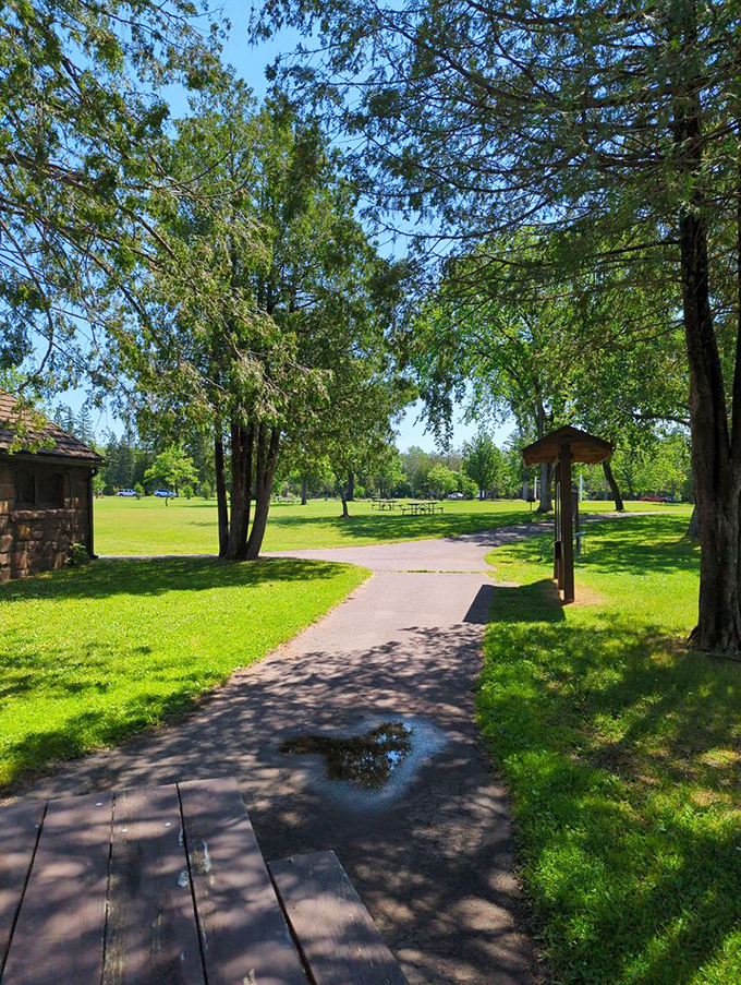 Picnic paradise awaits with manicured lawns and towering pines. Nature's dining room comes with better views than any five-star restaurant.