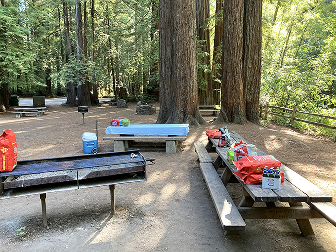 Picnic perfection among the giants. These redwood-shaded tables are nature's dining rooms, complete with better ventilation than most restaurants.