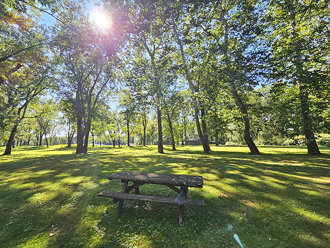 These picnic tables see more action from squirrels than humans &ndash; your secret outdoor dining room awaits.