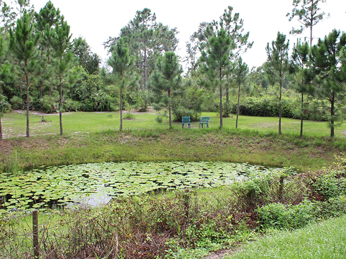 This lily pad paradise looks like something Monet would paint on his best day.