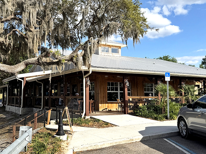 Spanish moss drapes over this rustic eatery like nature's own interior decorator, creating the perfect Florida backdrop for comfort food and lazy afternoon conversations.