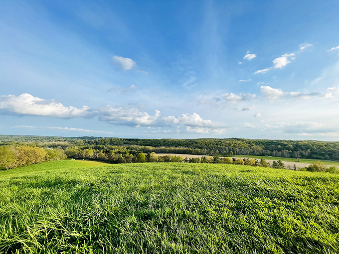 Where Ohio shows off its good side. This sweeping vista makes you wonder why anyone bothers with coastal vacations.