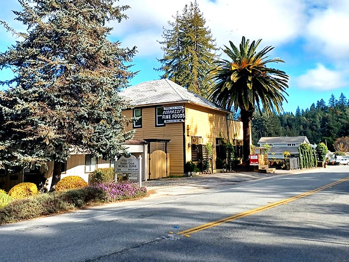 Where palm trees meet pines! Scopazzi's Restaurant stands as a delicious anomaly in the forest, like finding a tuxedo at a campground.