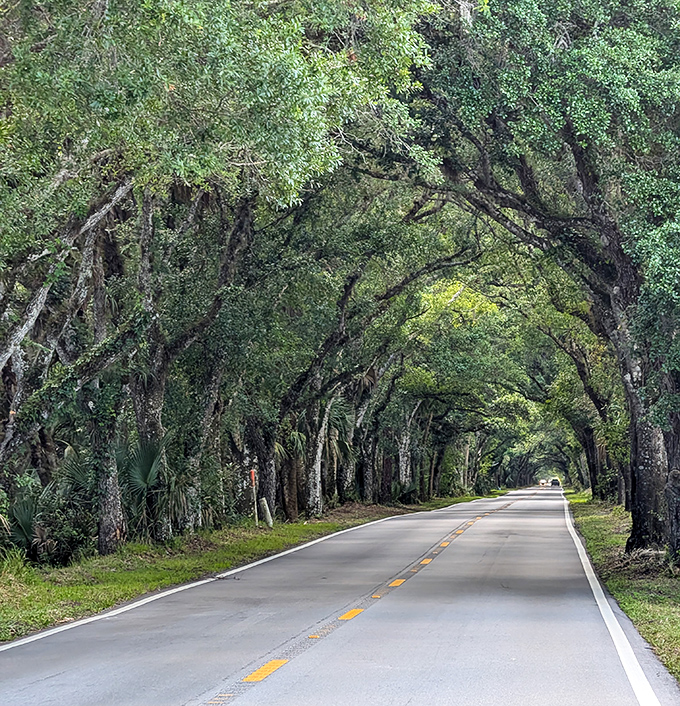 Old Florida preserved in perfect harmony. The gentle curve of Martin Grade's tree-lined corridor invites you to slow down and breathe deeper.