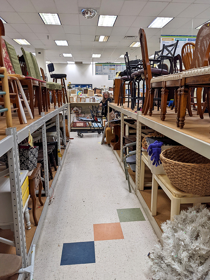 The furniture section resembles a time-travel portal where dining chairs from six decades await their second act in Delaware homes.