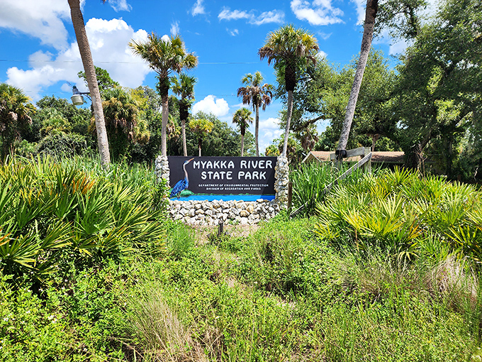 The unassuming entrance sign &ndash; Florida's version of "nothing to see here, folks" &ndash; belies the 37,000 acres of natural wonder waiting just beyond. 