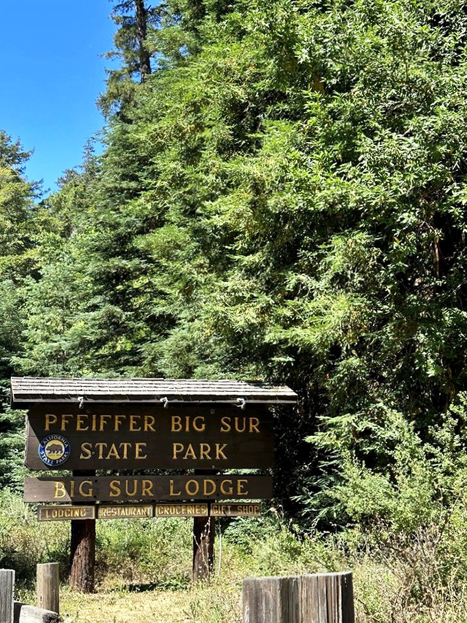 "Welcome to paradise," says this weathered sign. Standing sentinel between civilization and wilderness, it marks the threshold where your real-life screensaver begins.