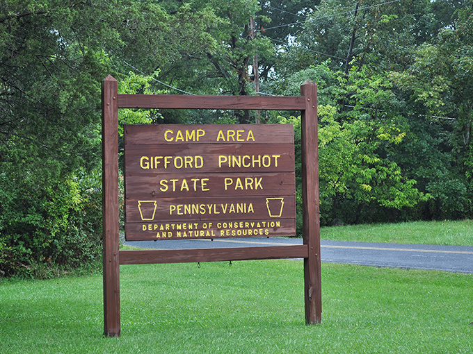 The wooden welcome wagon that promises adventure. This sign doesn't just mark a campground; it's the doorway to your next "remember when" story.