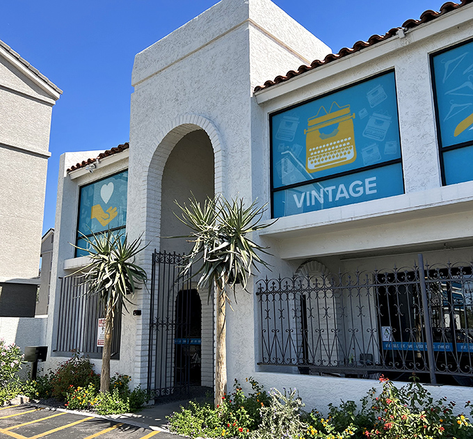 Spanish-inspired architecture meets thrifting paradise. Those desert plants aren't the only things thriving in Phoenix's unforgiving heat.