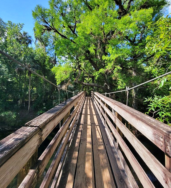 This suspension bridge isn't just a crossing&mdash;it's a portal to adventure, swaying ever so slightly as you venture deeper into Florida's wild heart.