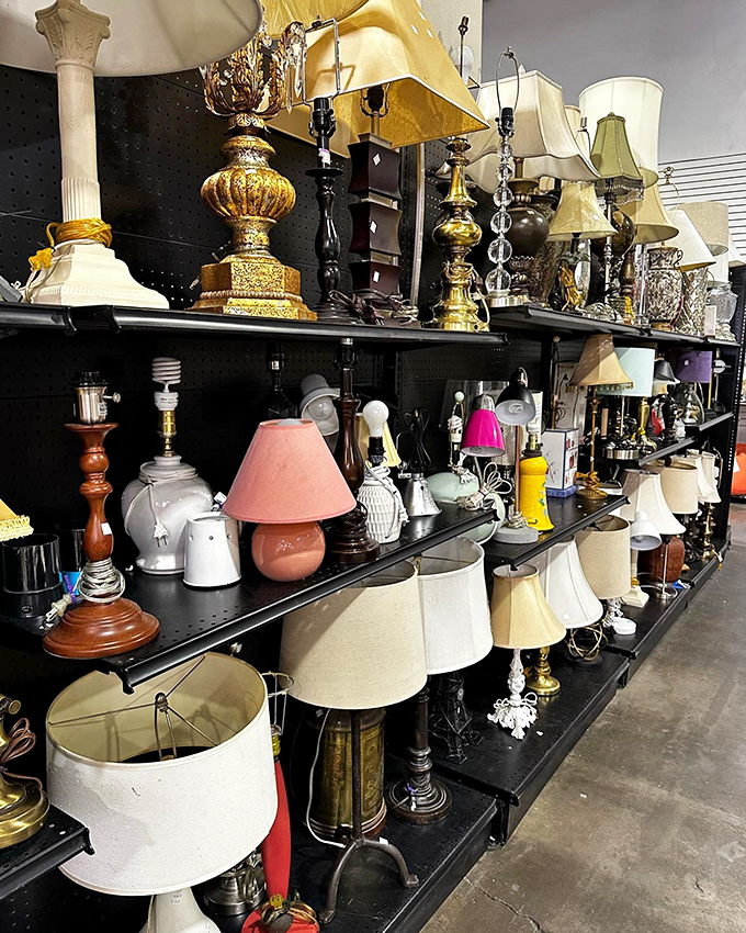 Lamp lovers, rejoice! This illuminating collection ranges from grandma-chic to mid-century modern, all priced less than your monthly electric bill.