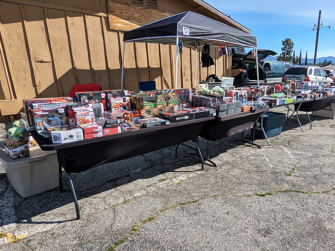 Childhood nostalgia arranged in neat rows&mdash;where yesterday's playthings become tomorrow's collectibles. One person's forgotten toy becomes another's cherished memory.