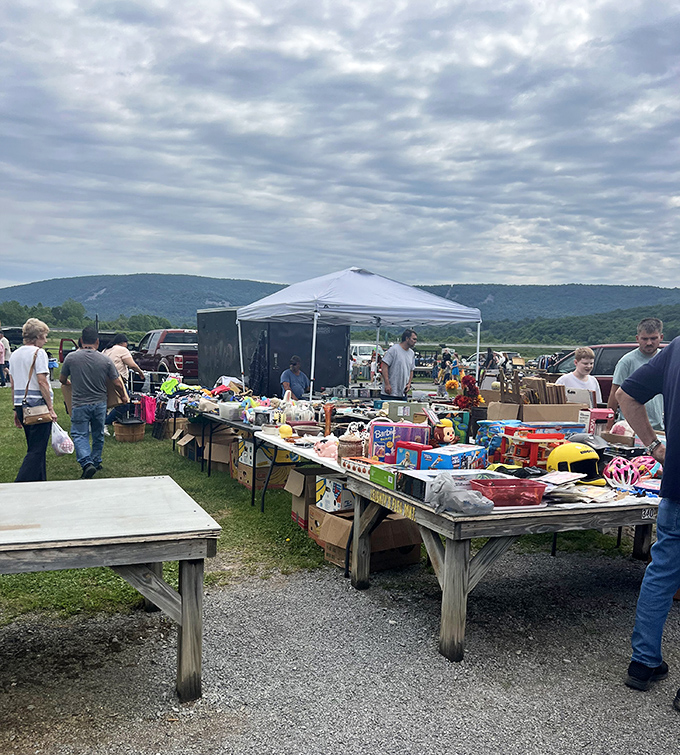 Bargain hunters browse tables laden with childhood memories and practical finds. The Allegheny Mountains provide a stunning backdrop for this Sunday ritual of discovery.