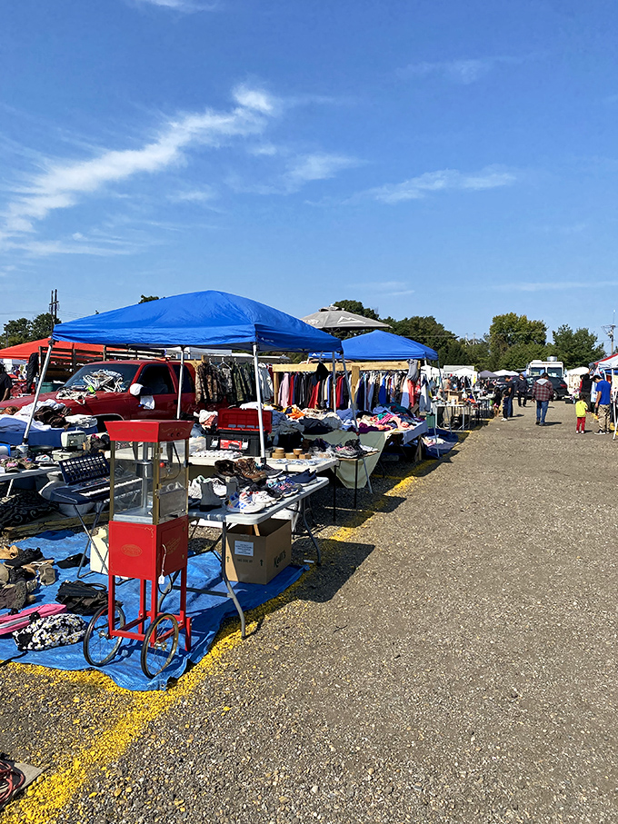 Blue skies and better deals &ndash; shoppers navigate the colorful maze of vendor stalls where every aisle promises new discoveries.