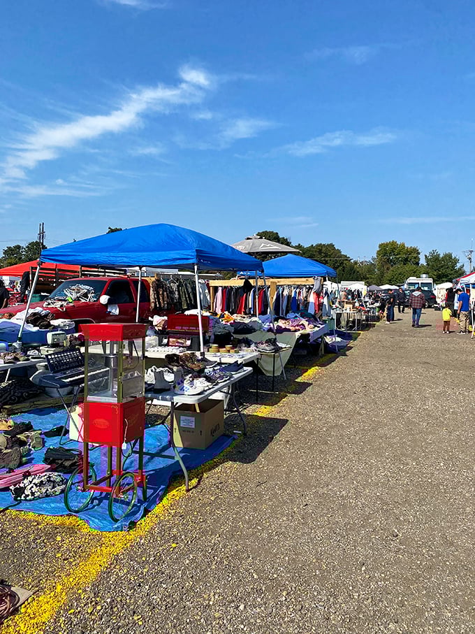 Blue skies and better deals – shoppers navigate the colorful maze of vendor stalls where every aisle promises new discoveries.