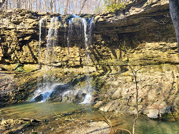 The star of the show: Charleston Falls cascades 37 feet down ancient limestone, creating what locals affectionately call "Ohio's mini Niagara."
