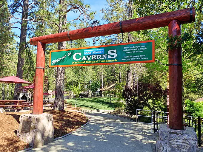 Nature's welcome mat comes with rustic charm and clear instructions: leave your troubles at the entrance and prepare for underground magic.