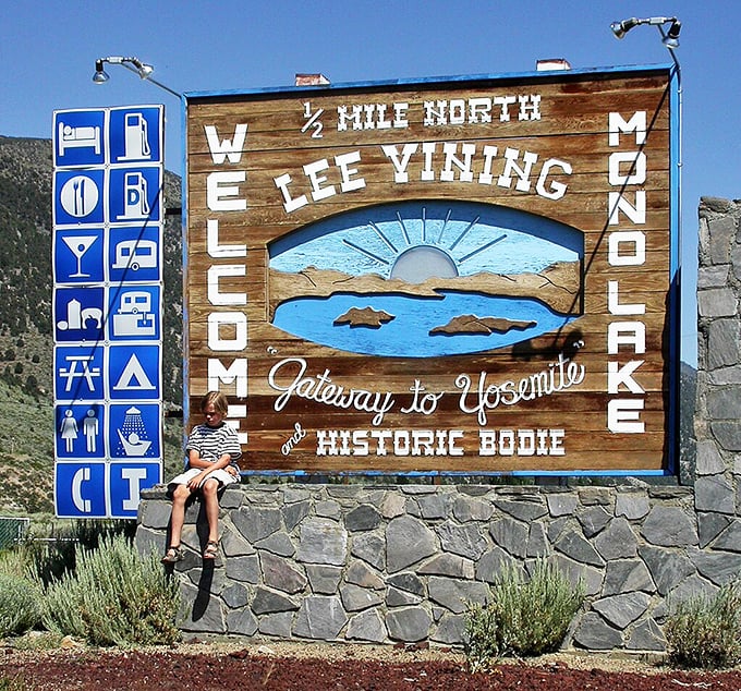 This welcome sign does double duty as a perfect selfie spot and geography lesson. Mono Lake's tufa towers get star billing, as they should.