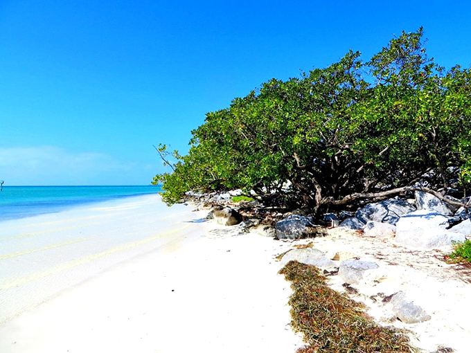 White sand meets turquoise waters under an impossibly blue sky. This isn't a Caribbean postcard&mdash;it's just another Tuesday in Islamorada.