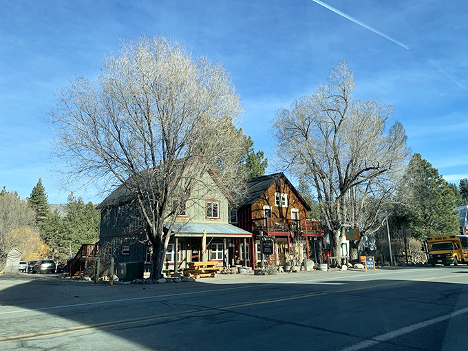 This rustic general store could be a movie set, but it's just Tuesday in Markleeville. Mountain living with character to spare.
