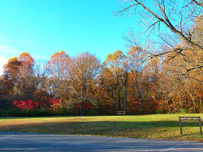 Fall's paintbrush transforms Harmonie's youth camping area into a masterpiece of amber and crimson that would make Bob Ross reach for his palette.