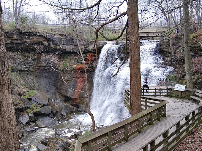 The thoughtfully designed boardwalk offers front-row seats to nature's greatest show. No ticket required, just comfortable shoes and a camera ready for action.