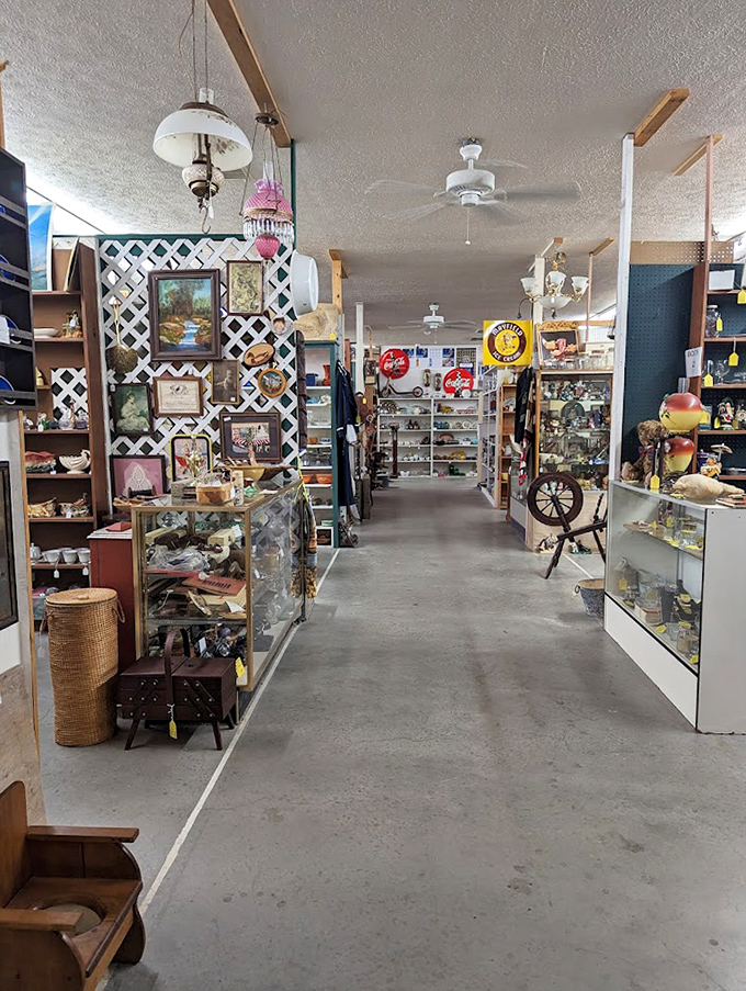 Aisles that stretch into infinity, each one a rabbit hole of discovery where time slows down and your shopping list becomes irrelevant.