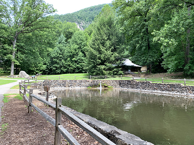 A tranquil pond reflects the surrounding greenery like nature's mirror. This spot practically whispers, "Sit a while and forget your inbox exists."