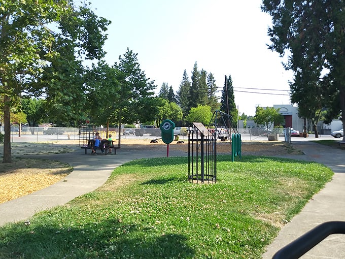 Simple pleasures reign supreme in Willits' community parks, where playground equipment doesn't need Wi-Fi to create genuine connection.