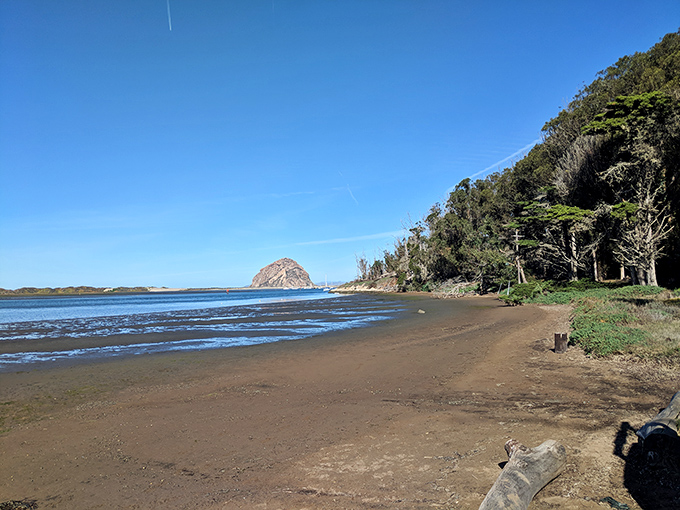 Where Morro Rock plays sentinel over pristine shores, this beach offers the kind of tranquility that makes you forget your phone exists.