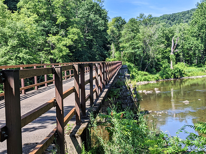 Nature reclaims its territory along this wooden footbridge, where hikers can pause to watch the gentle flow of Oil Creek below.