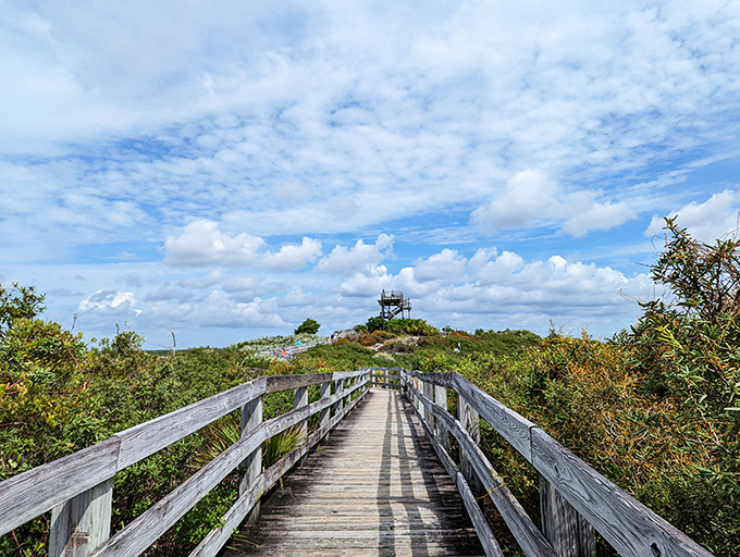 The stairway to Florida heaven. This wooden boardwalk to Hobe Mountain's observation tower promises views worth every step. 