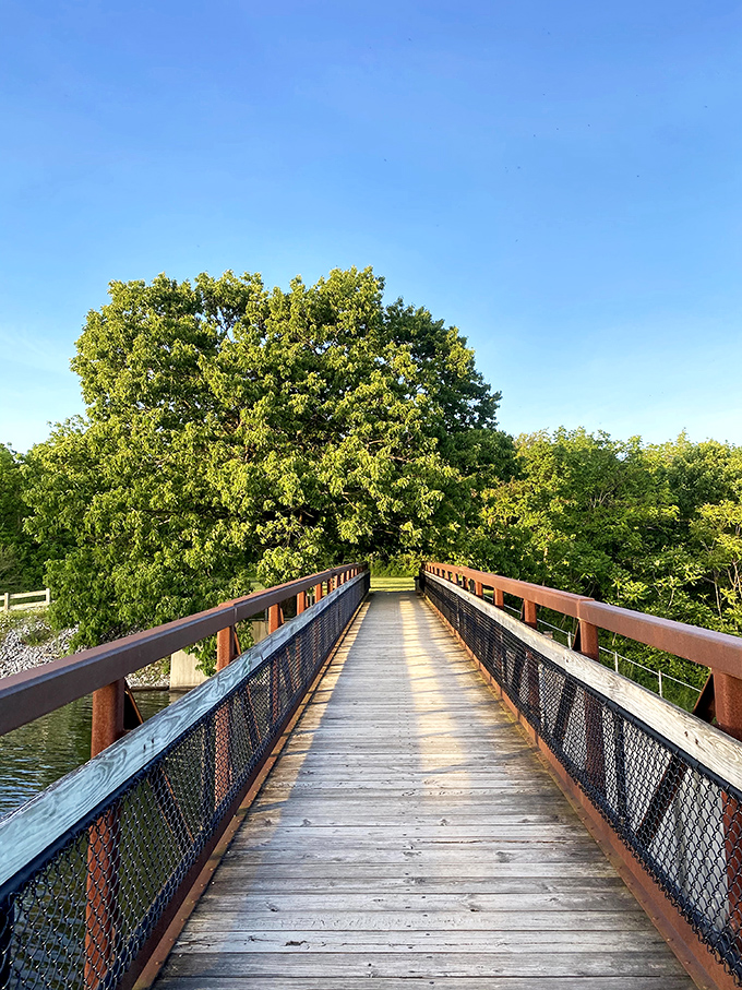 This wooden bridge doesn't just connect two shores—it's a portal to tranquility, where each step takes you deeper into Pennsylvania's natural splendor.