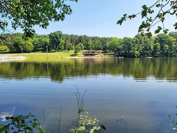 Morning mist performs its daily vanishing act on the lake. Somewhere, a photographer is thanking the universe for perfect lighting.