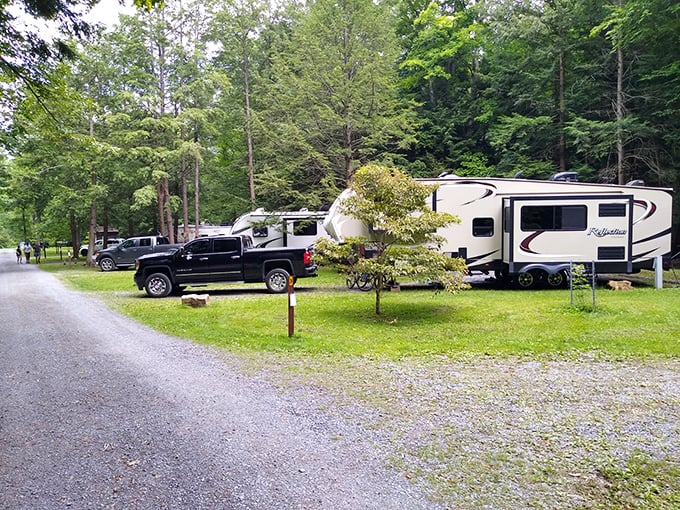 Camping nirvana: spacious sites nestled among towering trees. The perfect balance of wilderness and comfort, where your RV becomes a front-row seat to nature's theater.