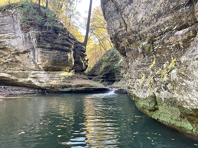 Reflections that rival any meditation app. The still waters of LaSalle Canyon mirror ancient rock formations carved by millennia of patient water.