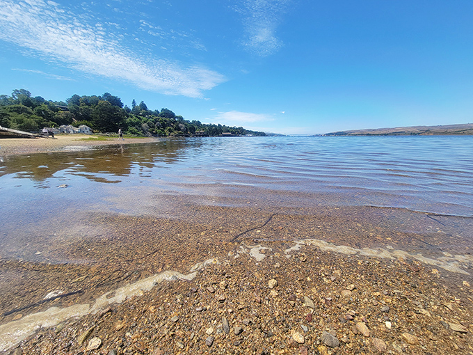 Crystal clear waters of Tomales Bay invite reflection. Where land meets sea, the shoreline tells stories of tides, time, and transformation.