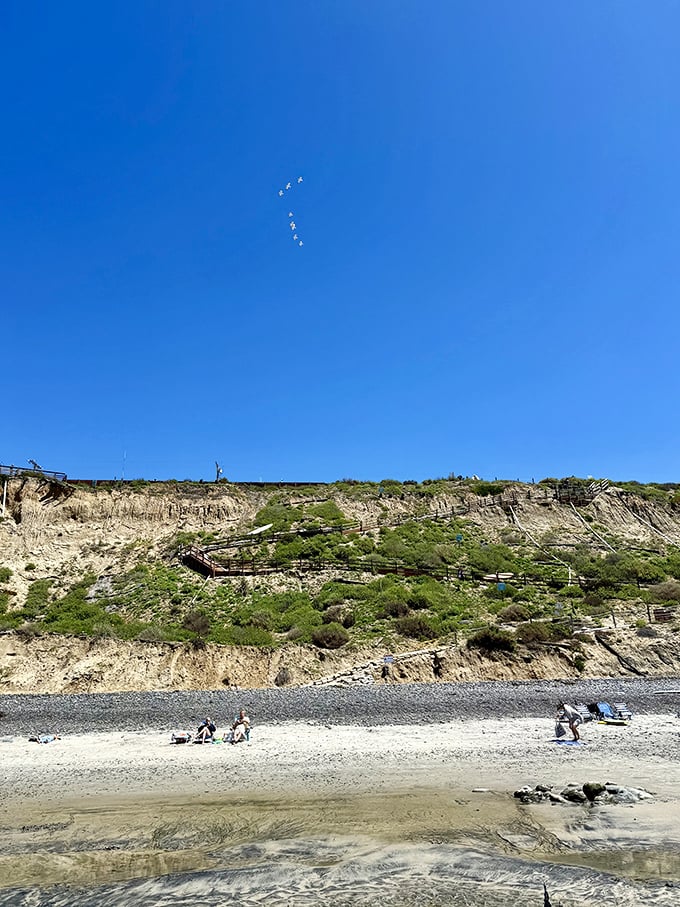 Nature's own amphitheater: these dramatic sandstone cliffs have been perfecting their act for thousands of years, with the Pacific as their standing ovation.