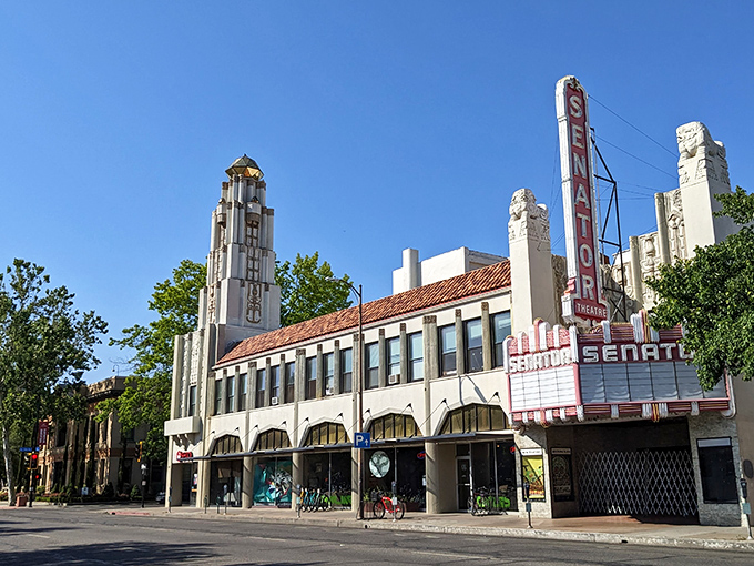 The iconic Senator Theatre stands as Chico's Art Deco crown jewel, its vertical neon sign beckoning retirees to cultural events without Manhattan ticket prices.