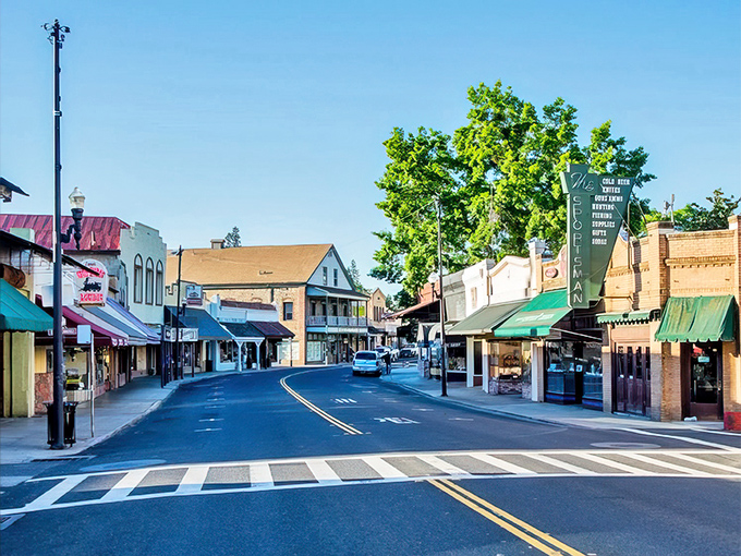 Washington Street invites you to stroll at a pace where you can actually notice things, like how the morning light plays on historic storefronts.