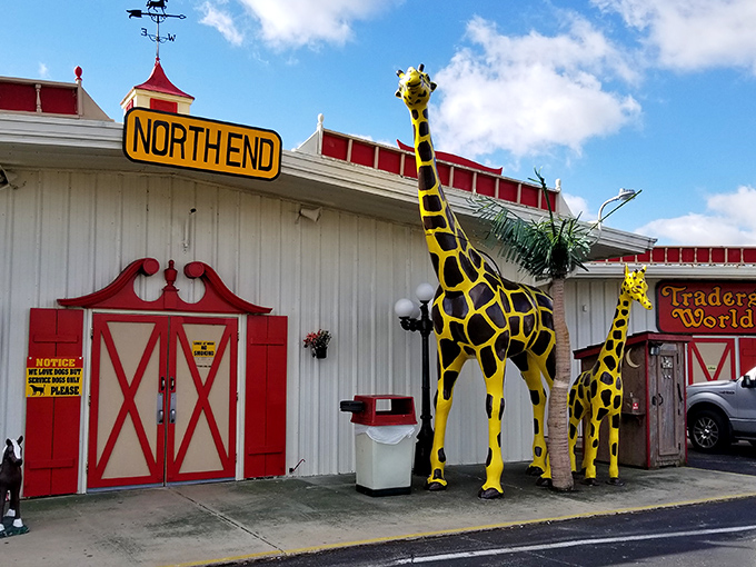 "North End" proclaims the sign, as if this giraffe-guarded entrance might lead you to Boston instead of the treasure-filled labyrinth waiting inside.