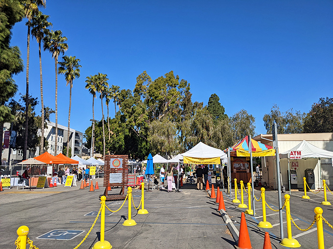 The entrance beckons with its yellow stanchions and palm trees standing guard &ndash; nature's own velvet rope for this exclusive Sunday club of bargain seekers.
