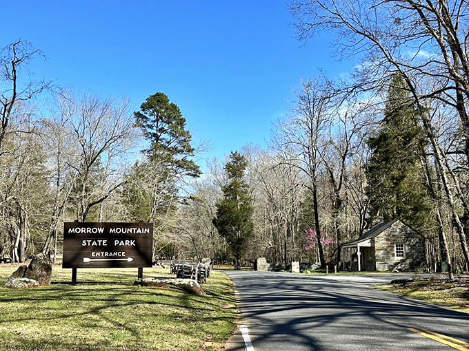 First impressions matter, and Morrow Mountain nails it. The classic park entrance sign welcomes visitors to a wilderness experience just a short drive from urban life.