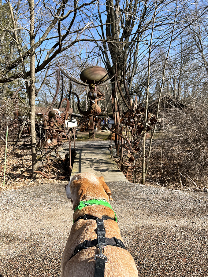 Four-legged explorers are welcome to discover the wonders of Jurustic Park, where metal marvels await around every bend.