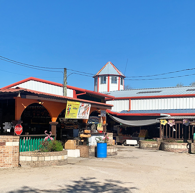 The distinctive red-trimmed entrance beckons bargain hunters with its no-frills charm. This is where the adventure begins, folks!