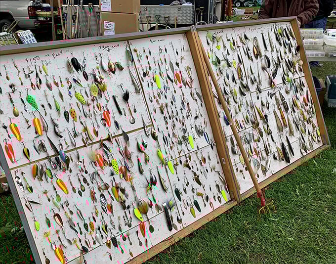 Fishing lures displayed like colorful butterflies in a collector's museum. One person's tackle box overflow becomes another's wall art.