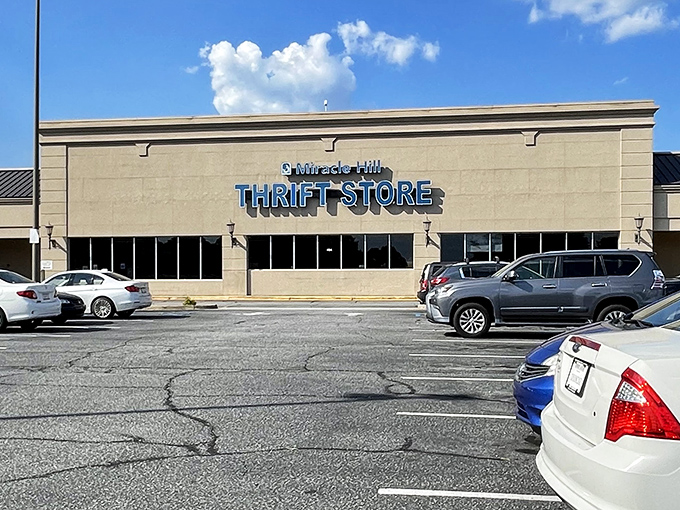 Blue skies and bigger bargains await at this Greenville landmark. The thrift store equivalent of "bigger on the inside" – a TARDIS of treasures.