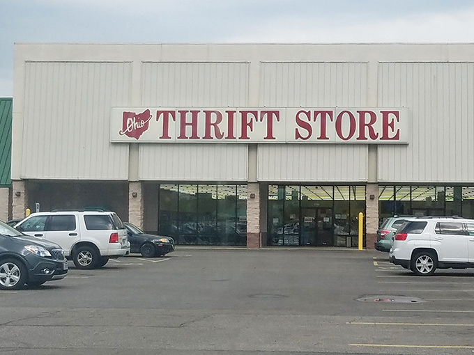 Behind those glass doors lies a treasure hunter's paradise where every aisle promises unexpected discoveries.