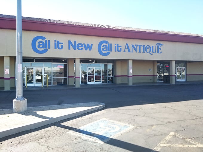 The unassuming storefront hides a wonderland inside &ndash; like finding Narnia behind a strip mall facade.